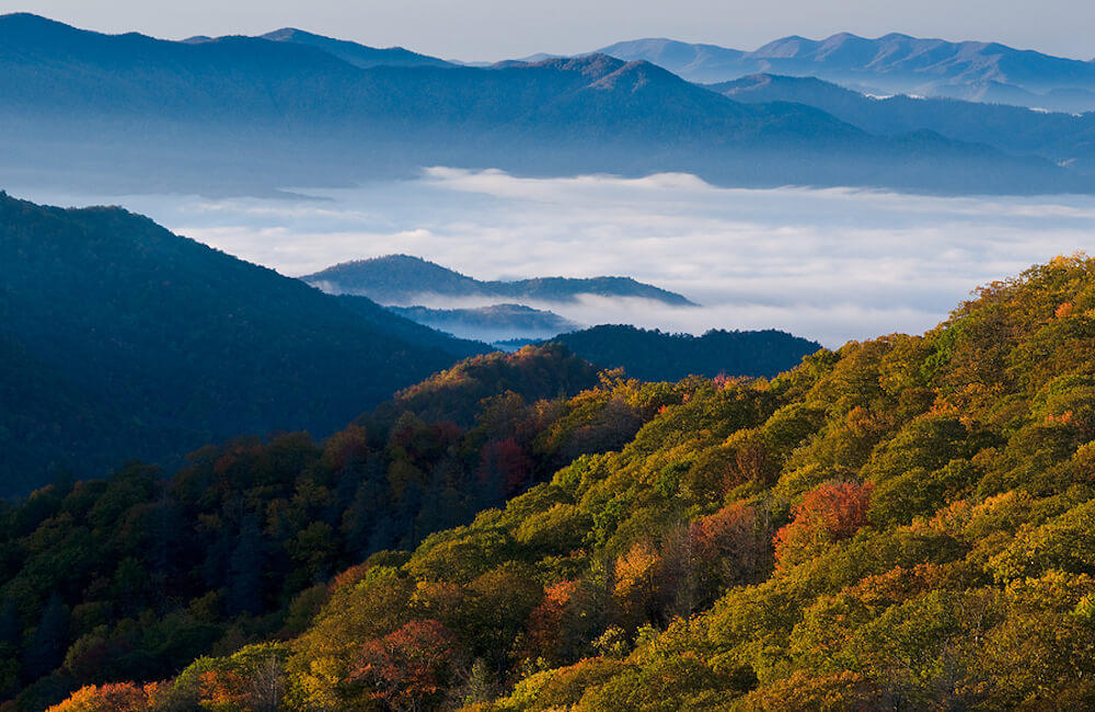 Fall Color Forecast Asheville & NC Mountains 2025